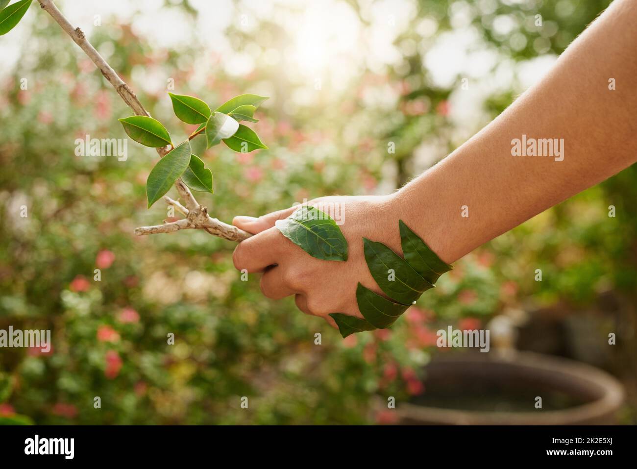 Garden handshake hi-res stock photography and images - Alamy