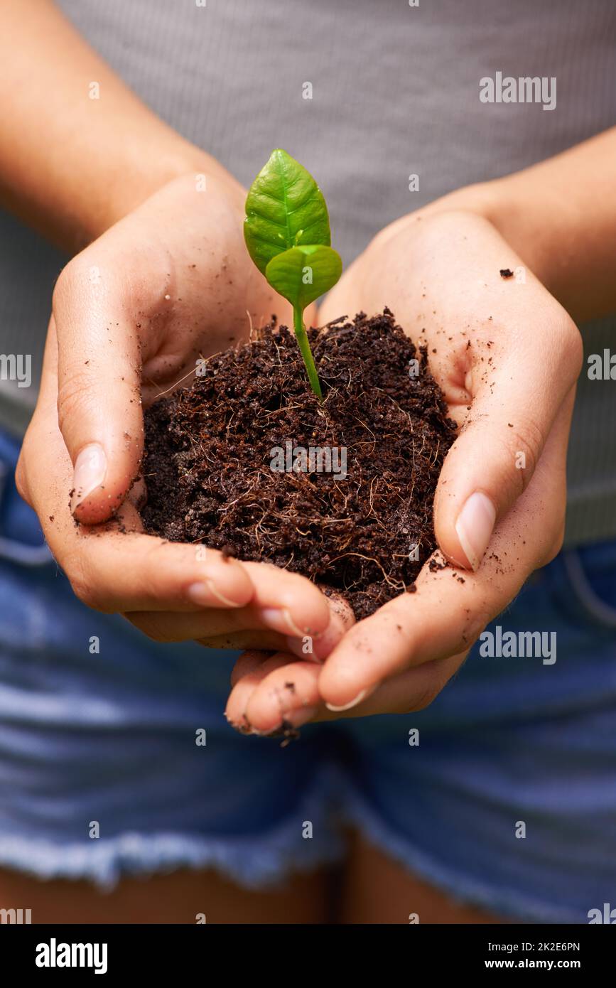 Hands holding soil hi-res stock photography and images - Alamy