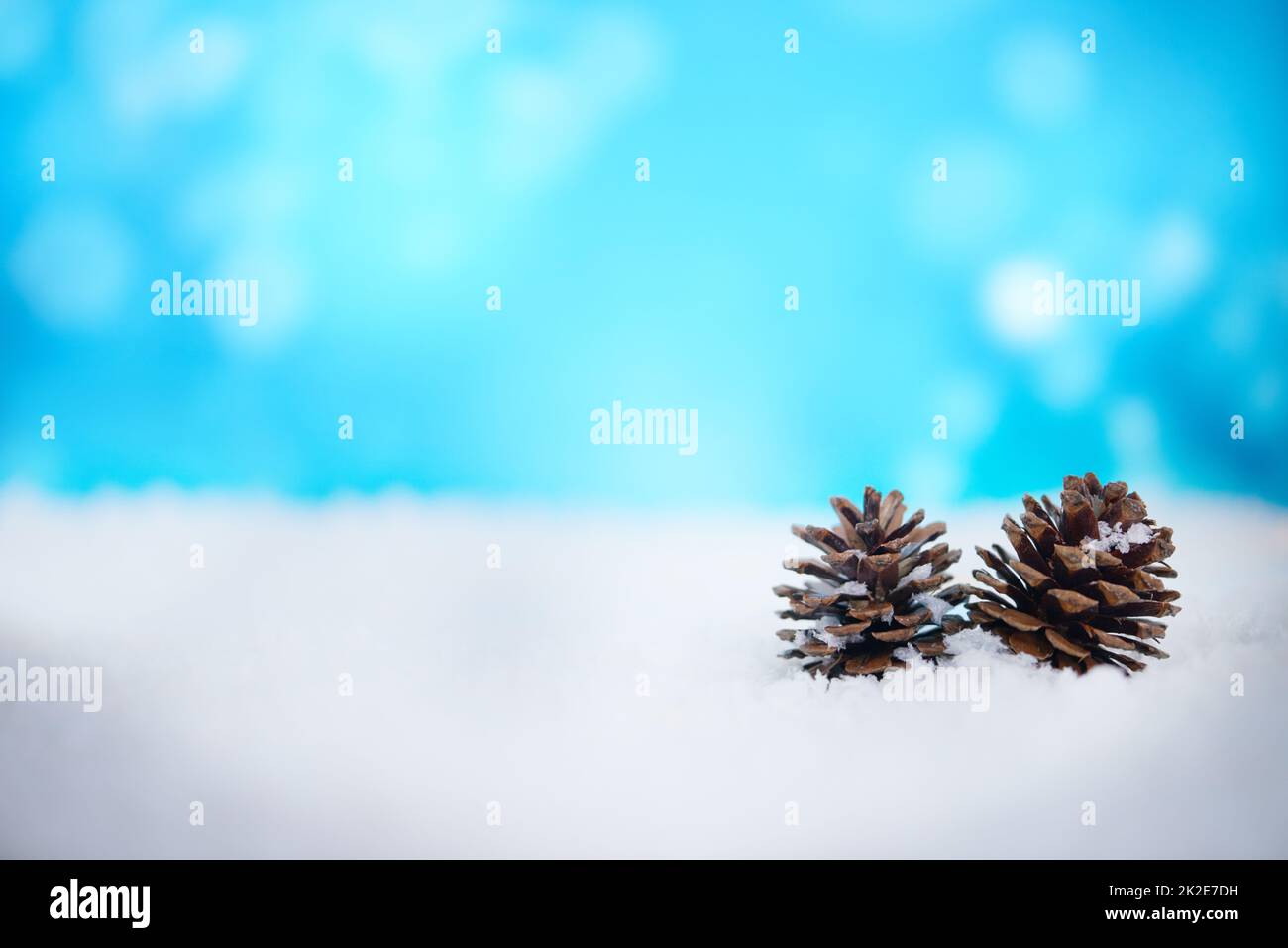 Wishing you a beautiful Christmas. Pine cones lying on some snow Stock ...