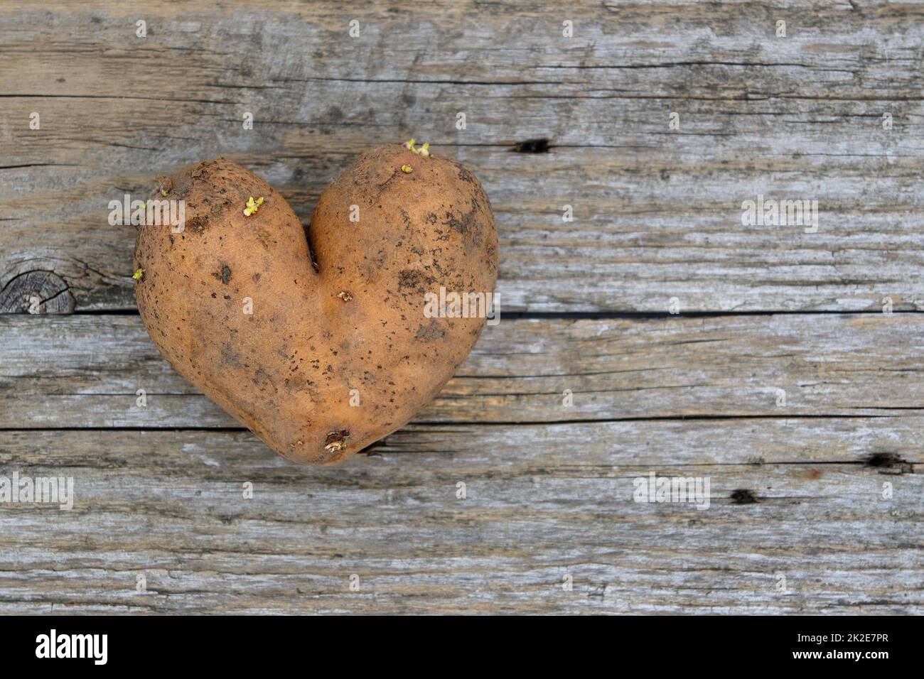 Heart-shaped potato on a weathered wood Stock Photo - Alamy