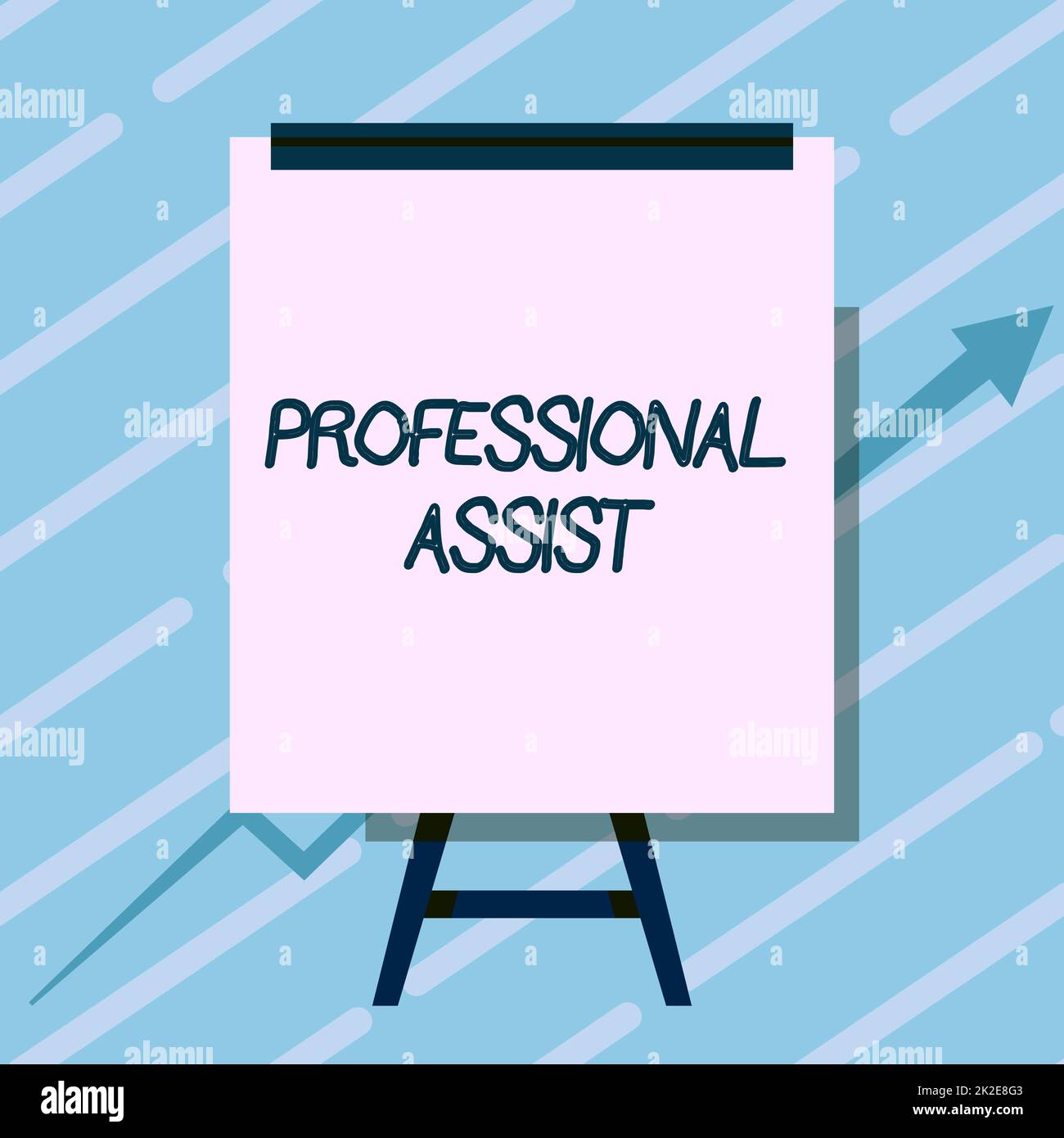 Text sign showing Professional Assist. Business overview help a ...
