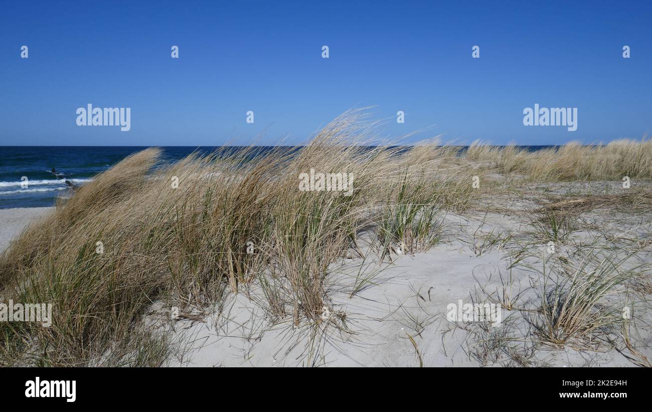 Zingst seaside resort hi-res stock photography and images - Alamy
