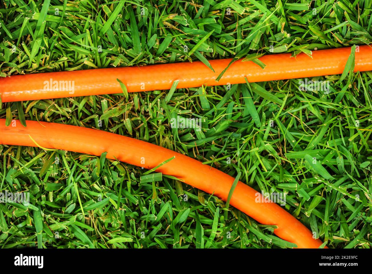 Top view, orange garden hose in green grass - colour contrast Stock ...