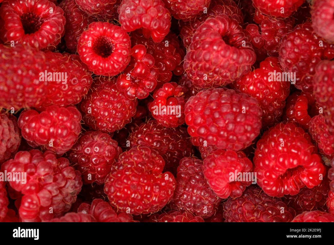 Top view - freshly picked garden raspberries Stock Photo - Alamy