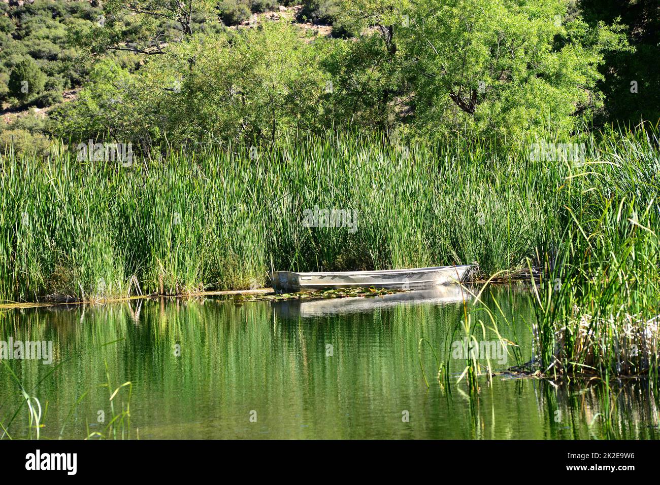 Boat pond hi-res stock photography and images - Alamy