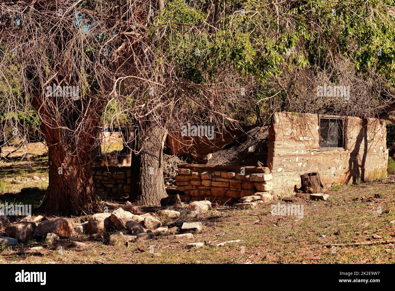 Abandoned House Ruins Stock Photo - Alamy