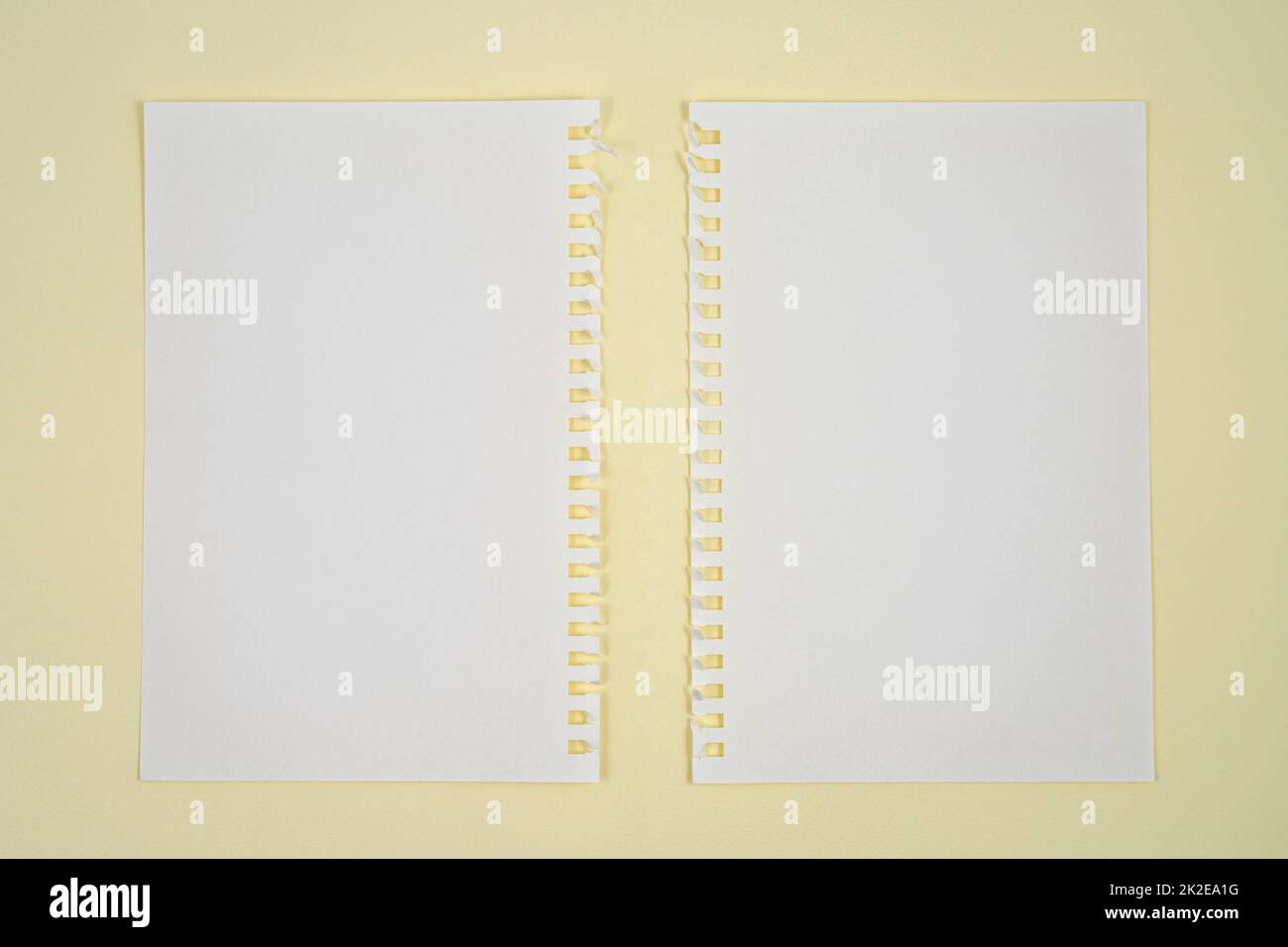 paper with side perforation Stock Photo - Alamy