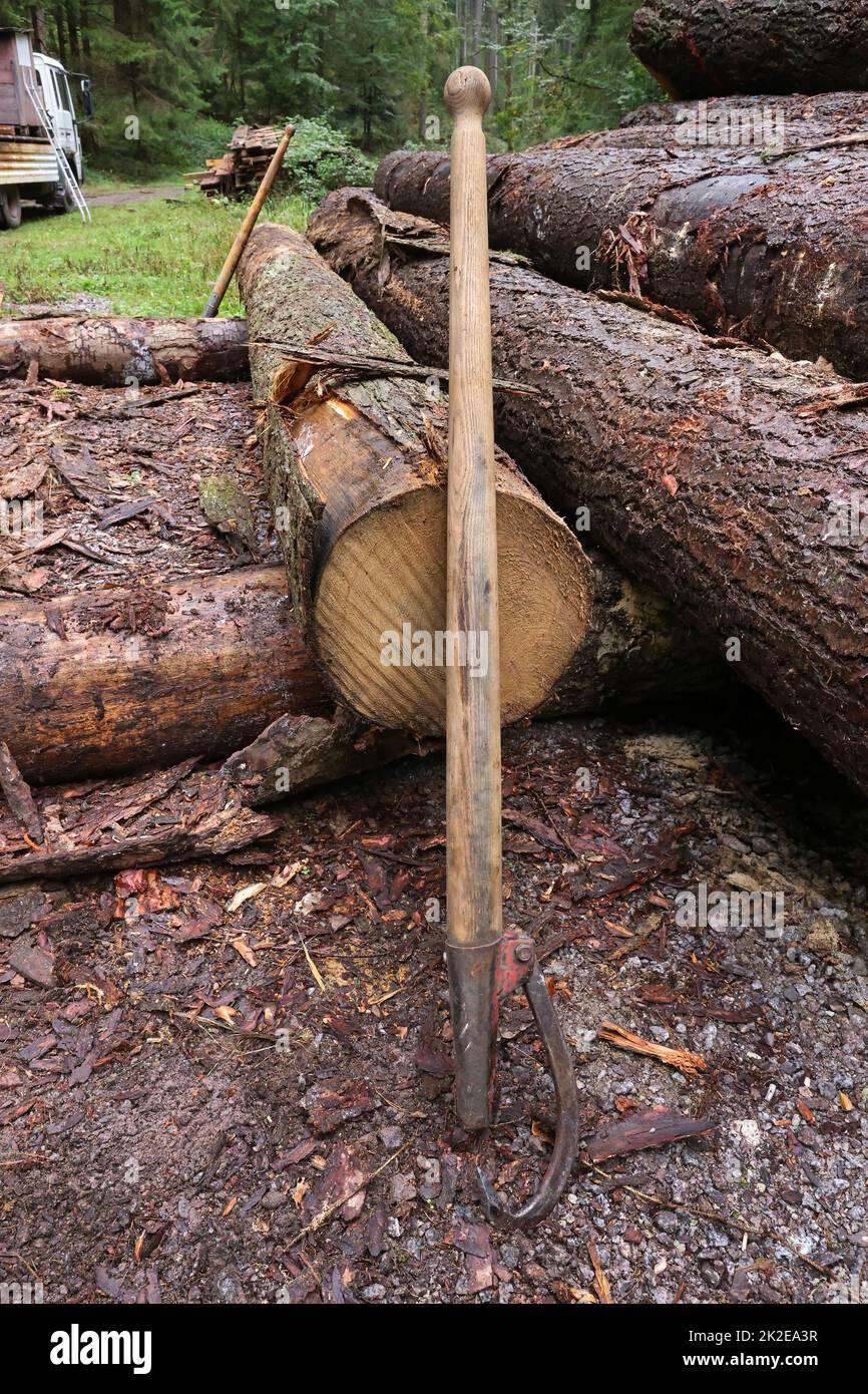 Log turner wood hi-res stock photography and images - Alamy
