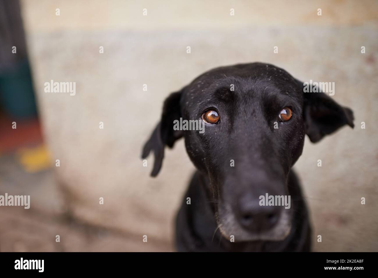 Ownerless hi-res stock photography and images - Alamy