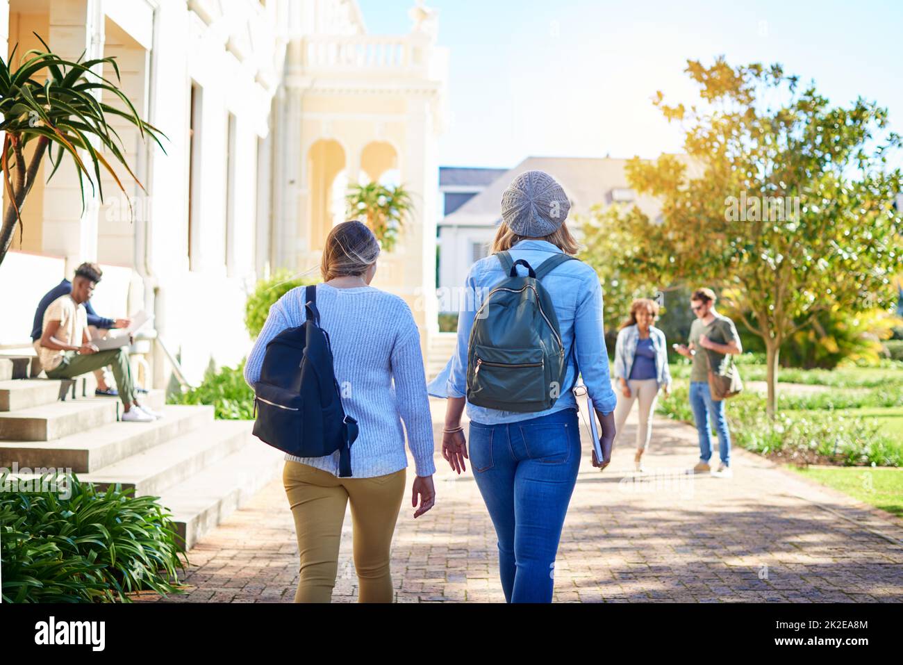 Students walking with books behind hi-res stock photography and images ...