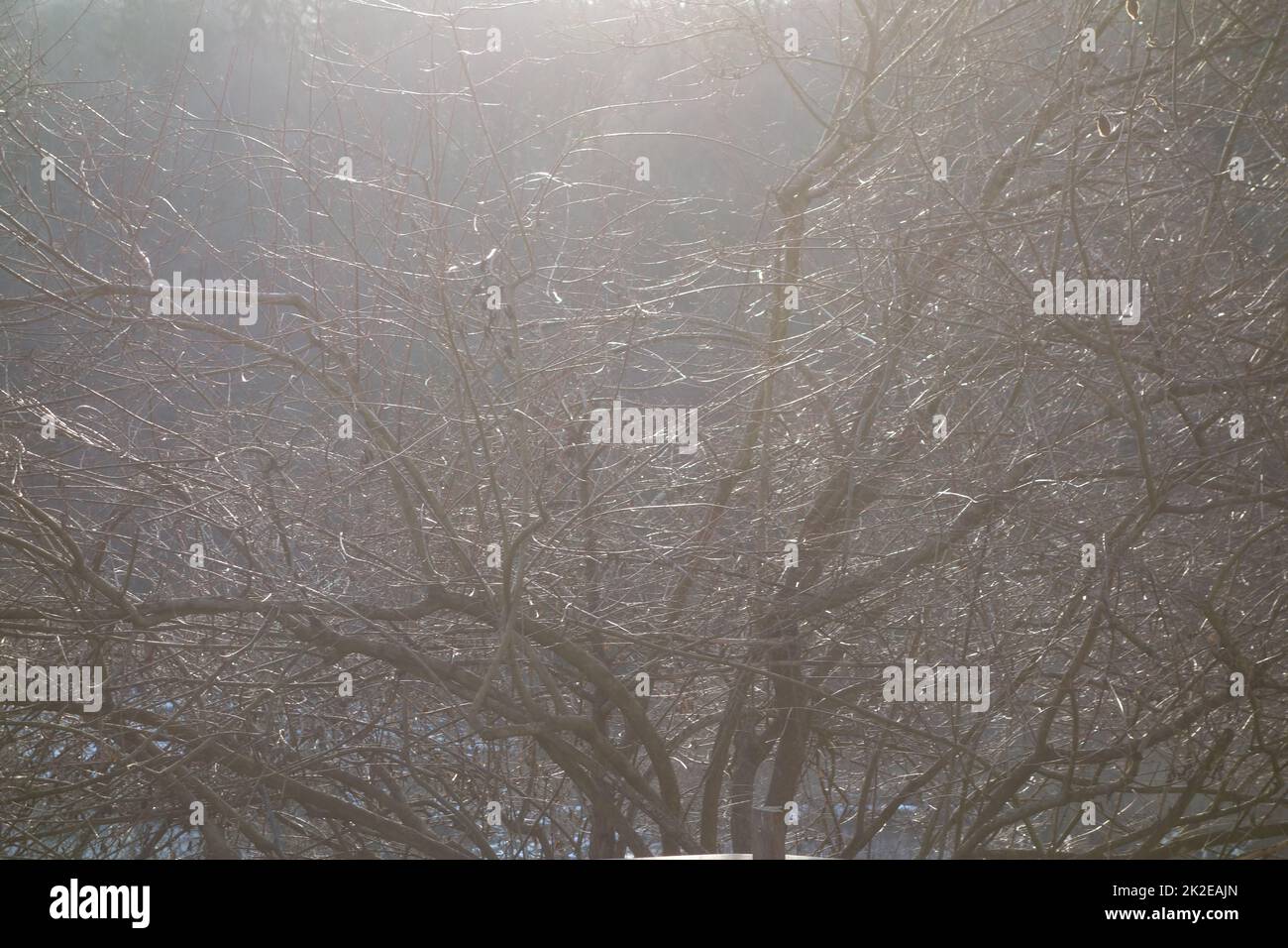 Vitality health life hi-res stock photography and images - Alamy