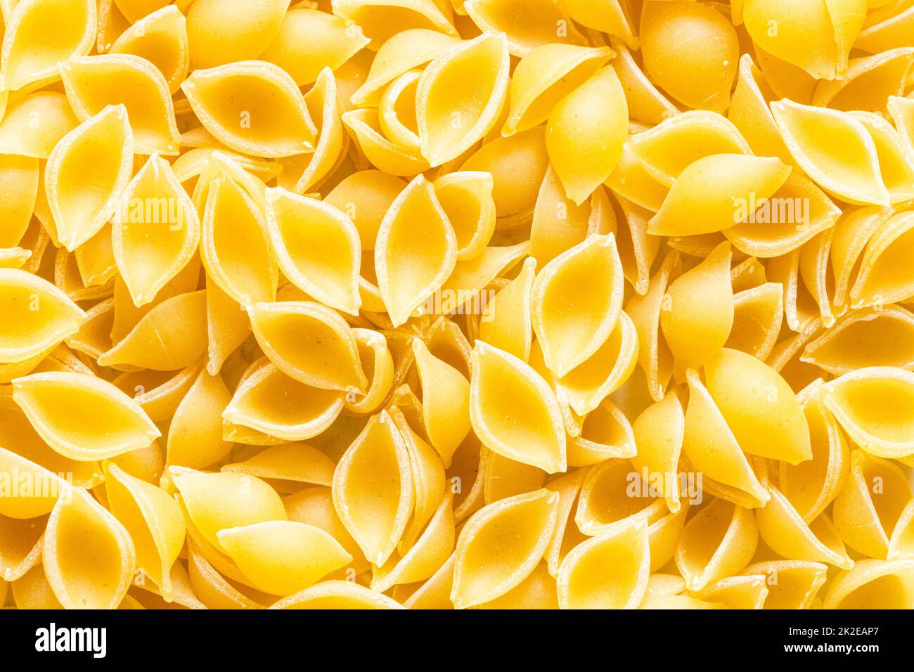 food background from uncooked conchiglie pasta Stock Photo - Alamy