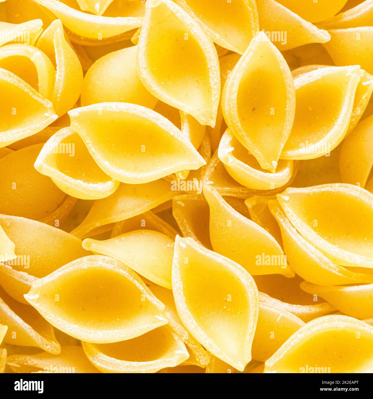 background from uncooked conchiglie pasta pieces Stock Photo - Alamy