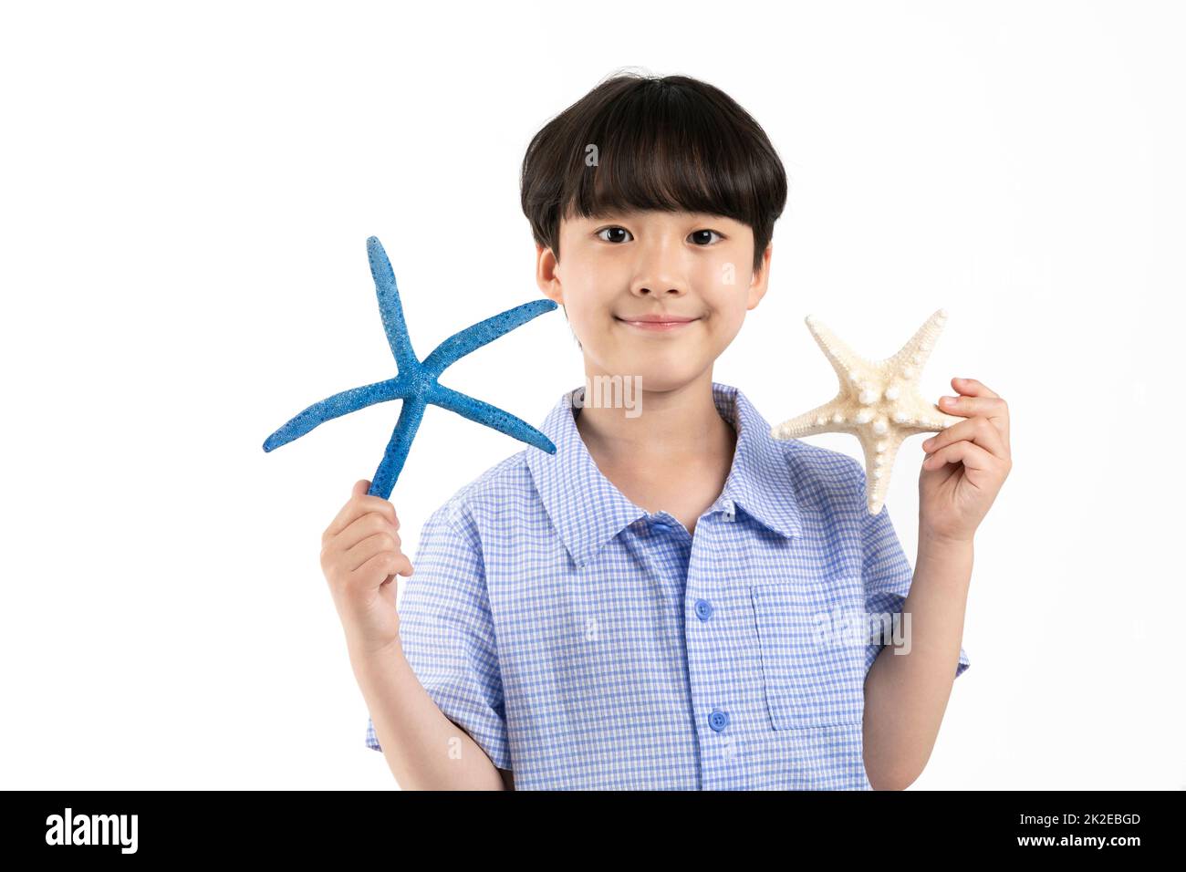 Korean young boy wearing summer blue half sleeve shirt in white background studio holding a ...