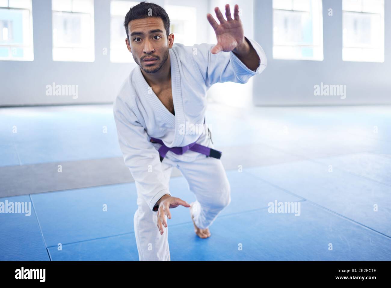 Karate Fighting Stance