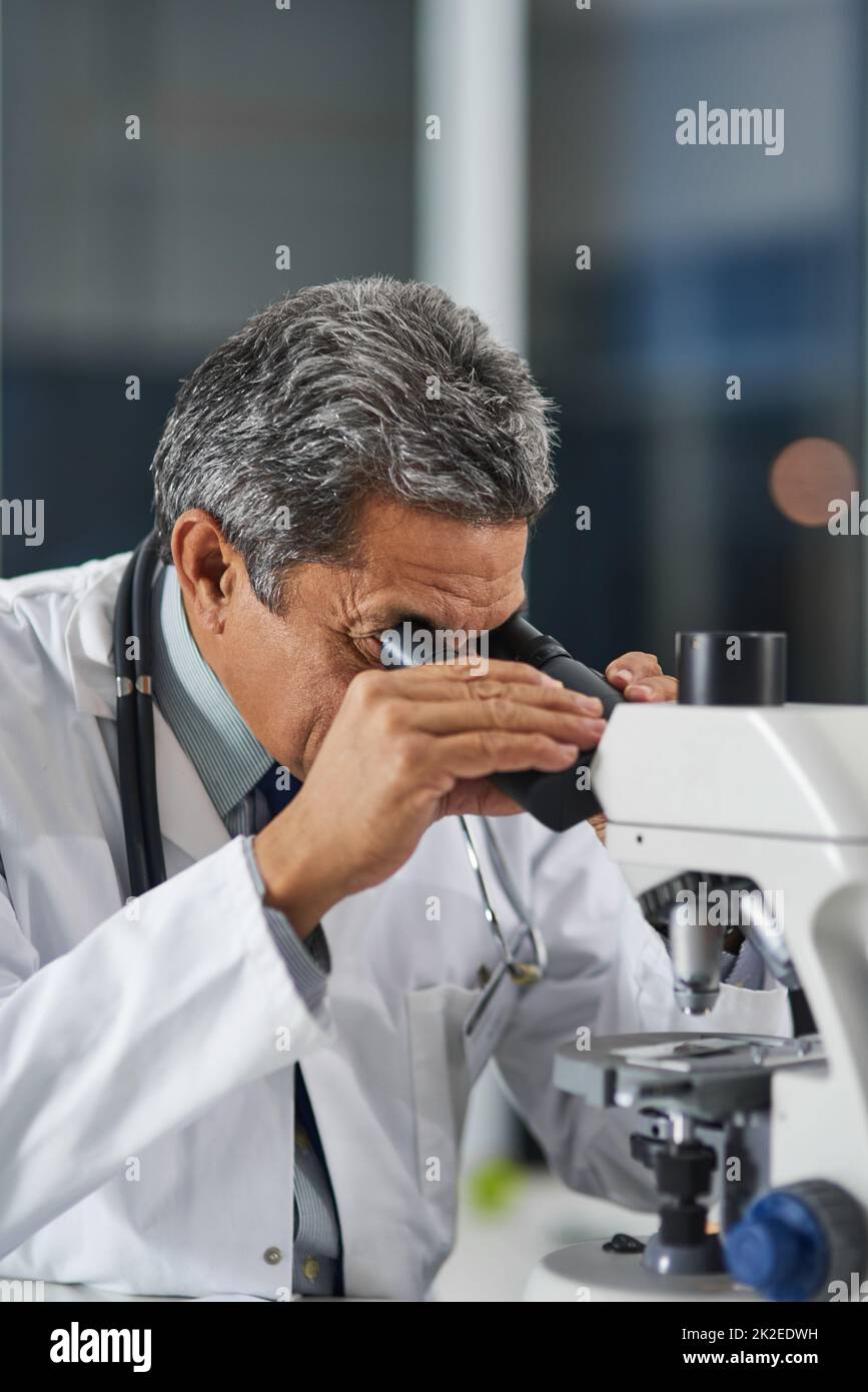 Grey microscope hi-res stock photography and images - Alamy