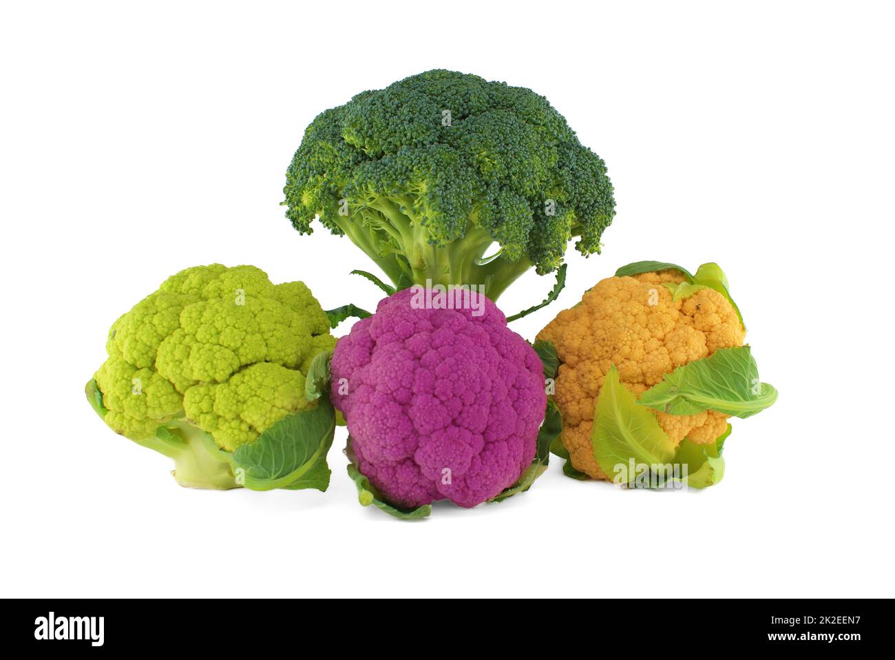 Fresh colorful cauliflowers and broccoli on white Stock Photo - Alamy