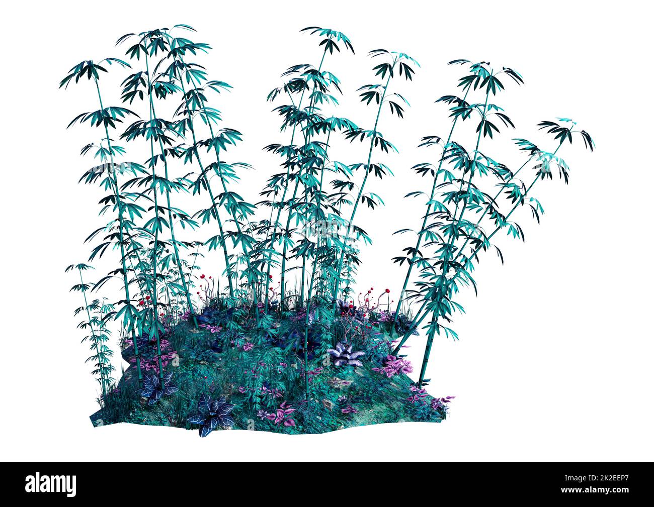 Bamboo trees on white Cut Out Stock Images & Pictures - Alamy