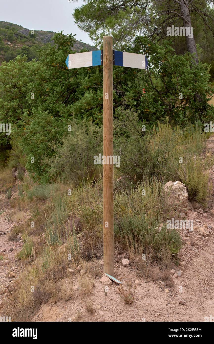 Wooden post with signposts in the forest Stock Photo - Alamy