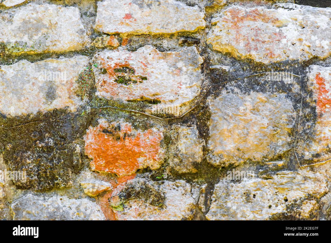 Ancient Mayan site texture temple ruins pyramids artifacts Muyil Mexico ...