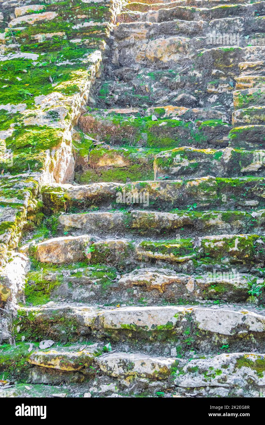 Ancient Mayan site texture temple ruins pyramids artifacts Muyil Mexico ...