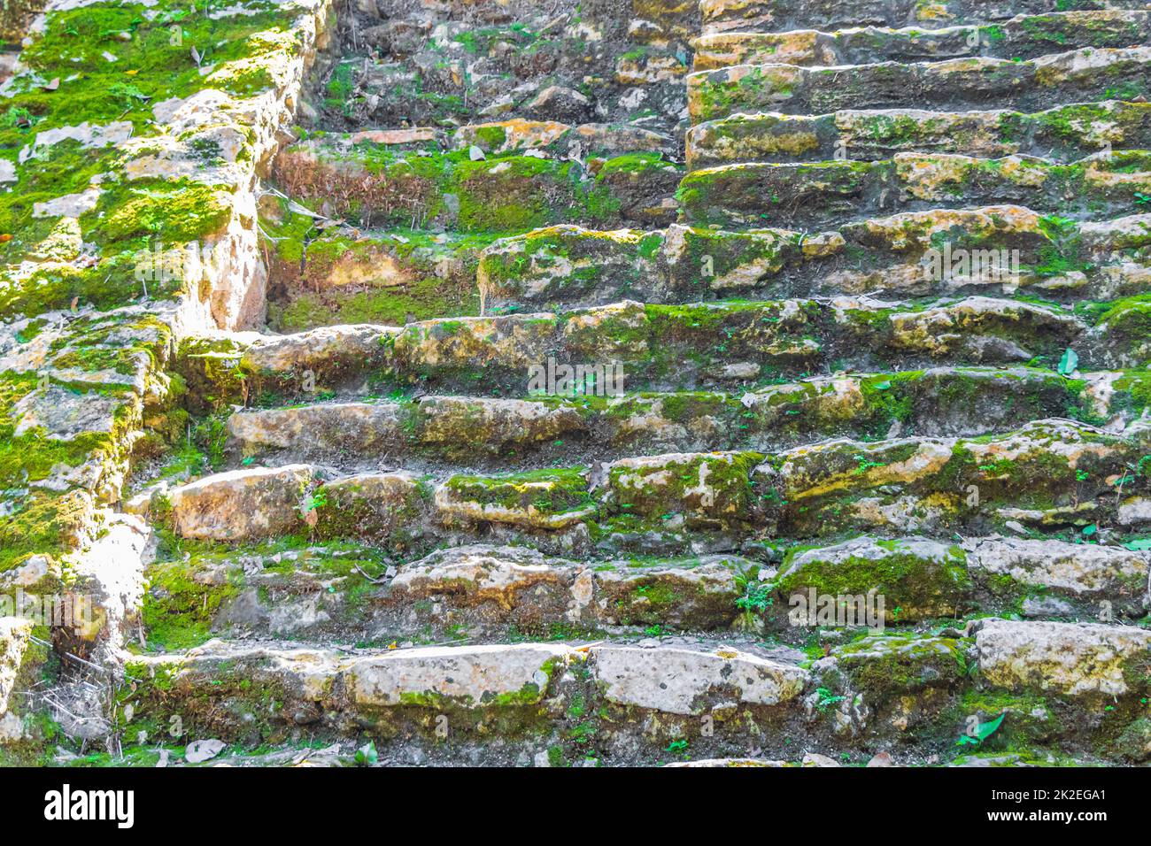 Ancient Mayan site texture temple ruins pyramids artifacts Muyil Mexico ...