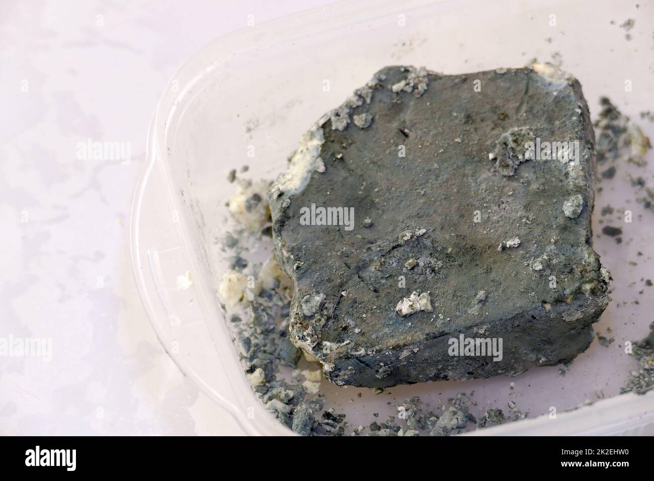 Moldy Cheese in a Plate, Moldy Green Cheese Stock Photo - Alamy