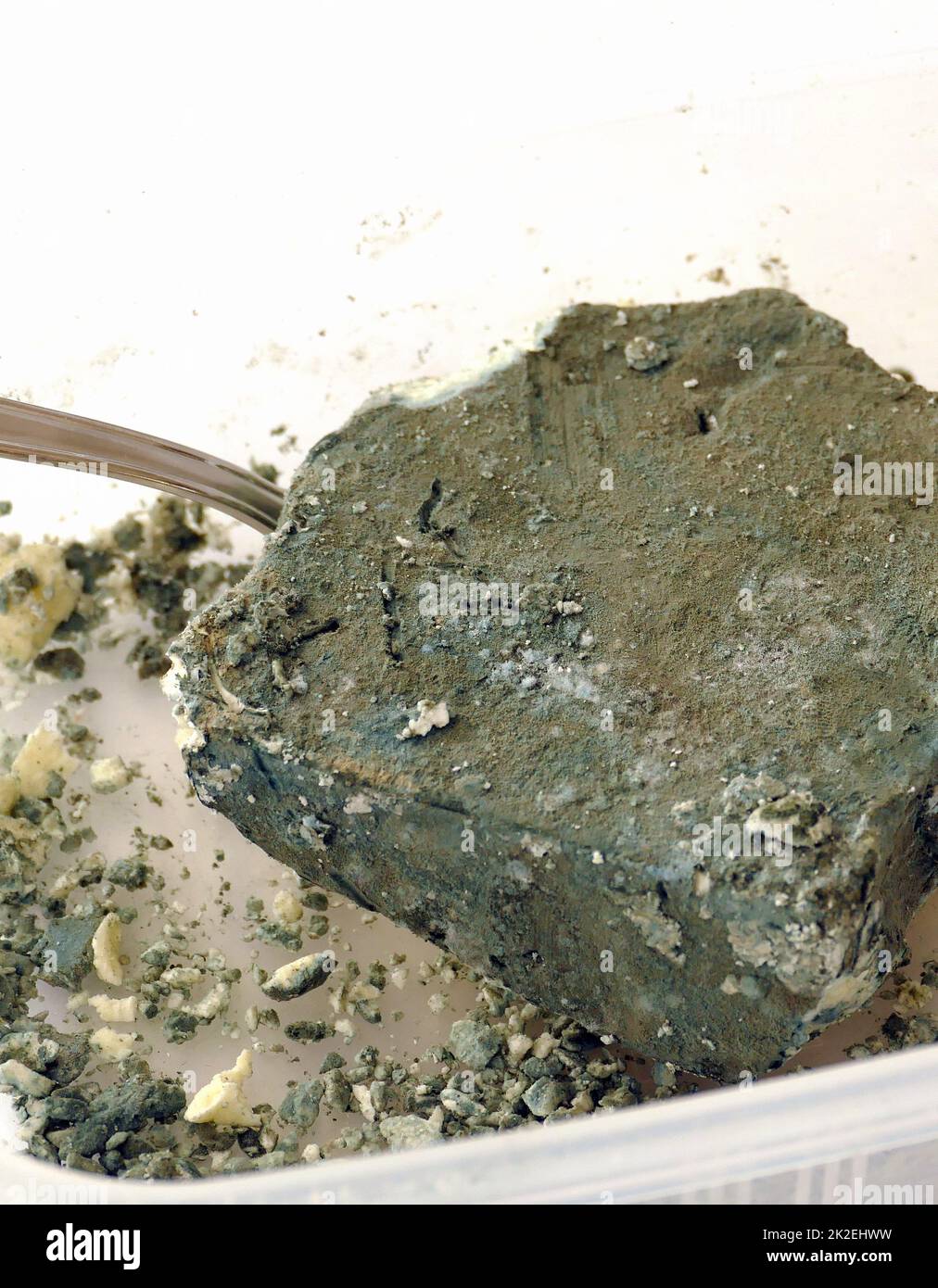 moldy cheese,close-up very moldy cheese,penicillin raw material cheese ...