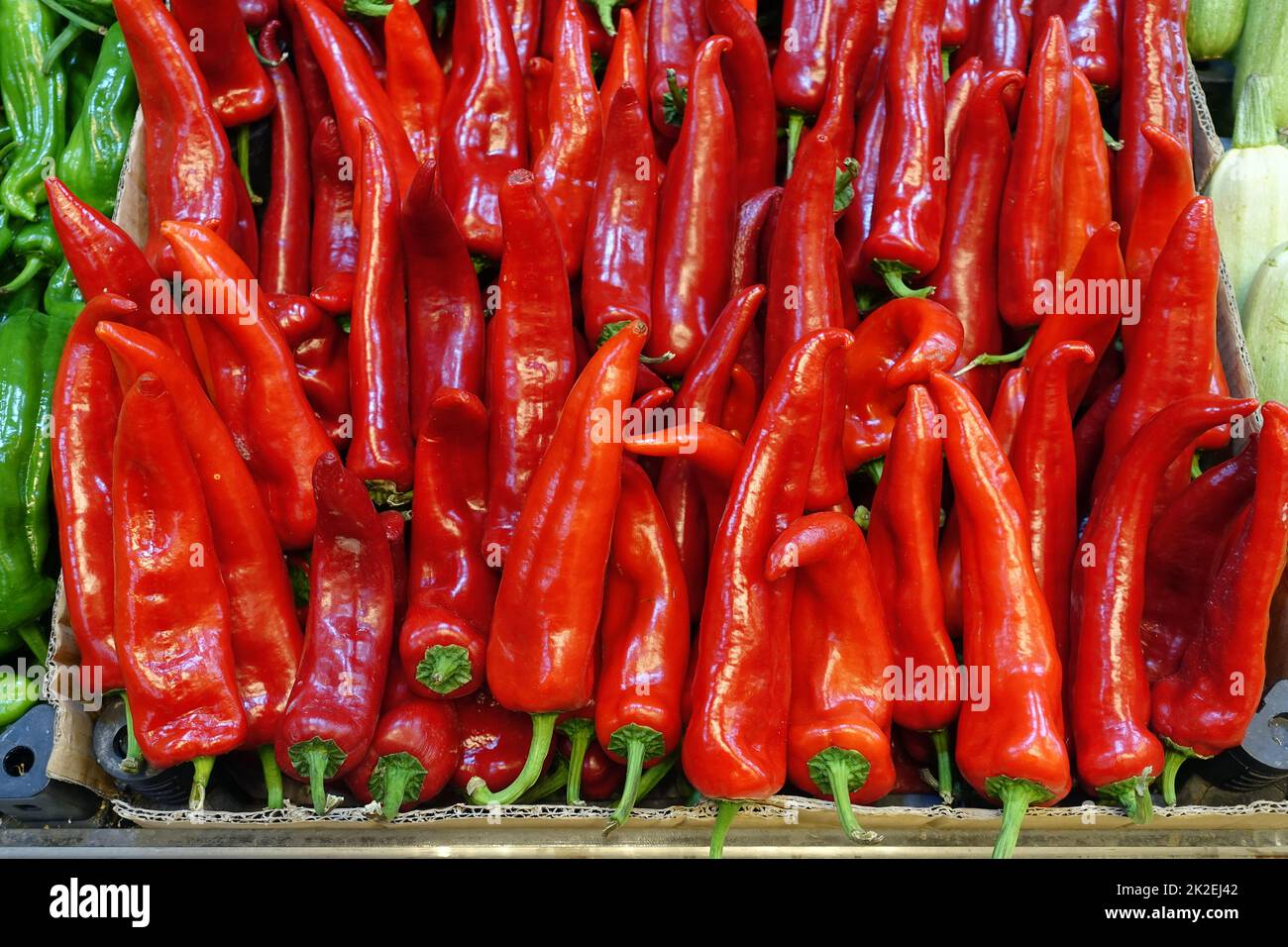 large capia peppers in the greengrocer aisle, fresh capia peppers on ...