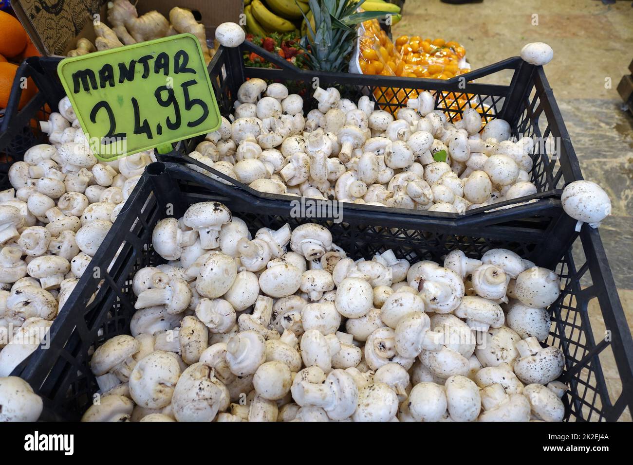 cultivated mushrooms in the greengrocer, food inflation, vegetable and ...