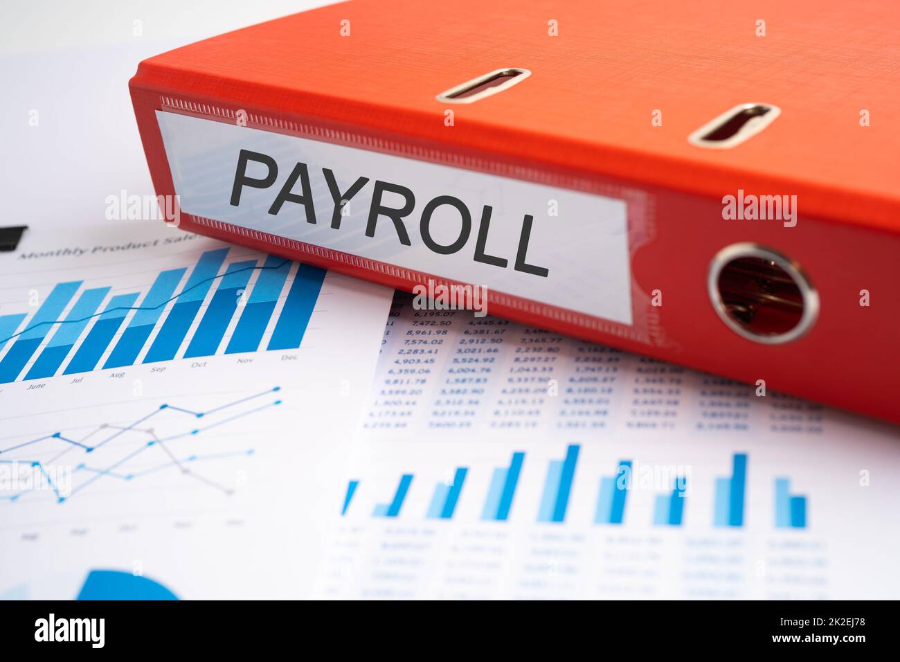 Payroll. Binder data finance report business with graph analysis in ...