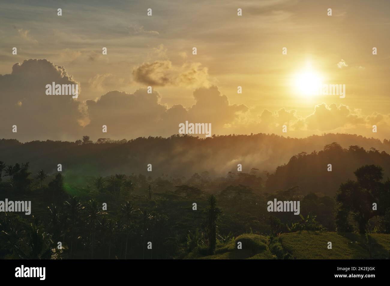 Bali jungle trip hi-res stock photography and images - Alamy