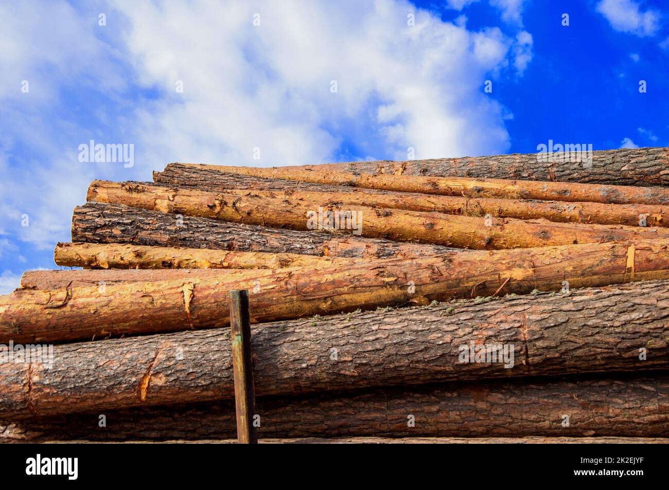 Untreated timber in the open air Stock Photo - Alamy