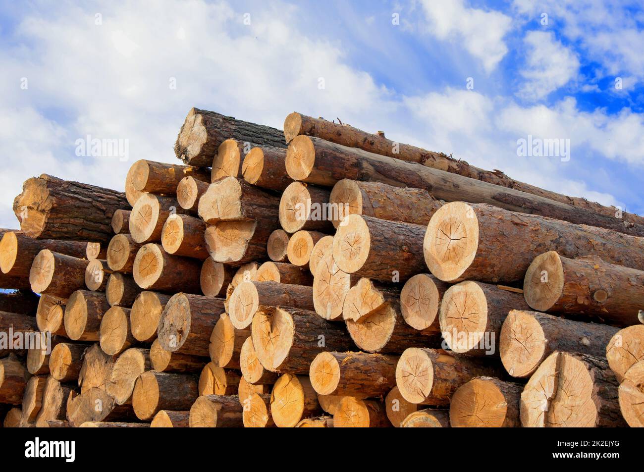 Untreated timber in the open air Stock Photo - Alamy