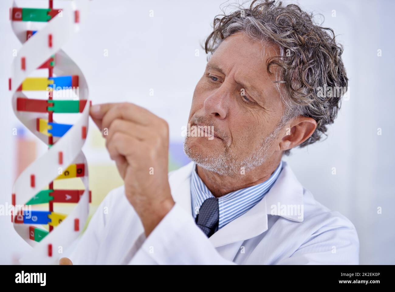 Structure of dna model hi-res stock photography and images - Alamy