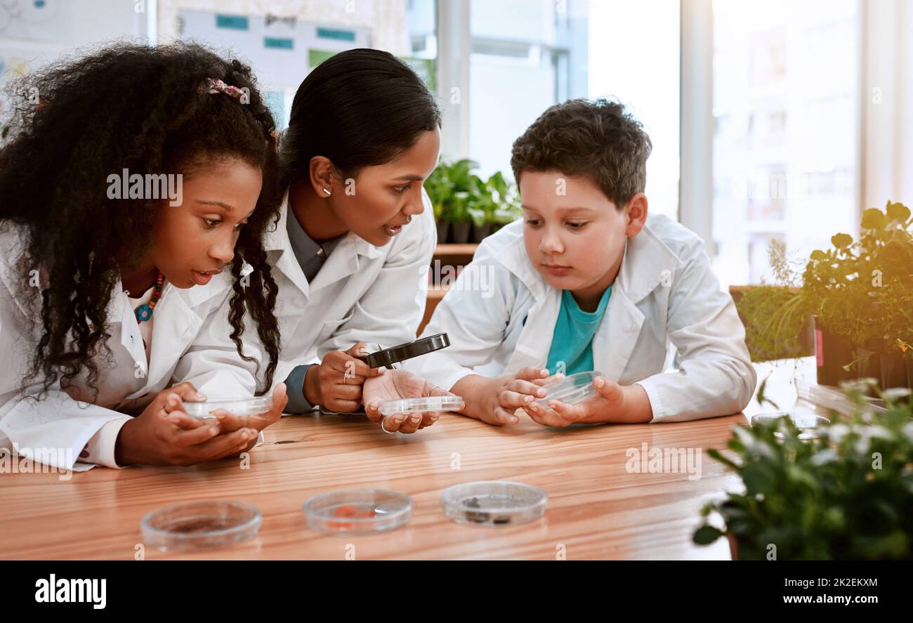 This is how a plant starts out. Shot of an adorable little boy and girl ...