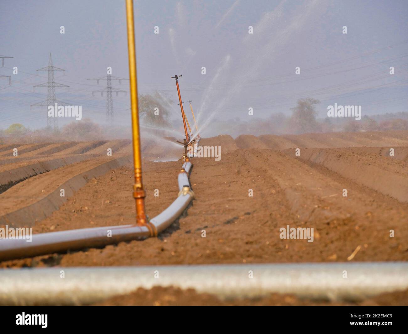 Watering field with irrigation system Stock Photo - Alamy