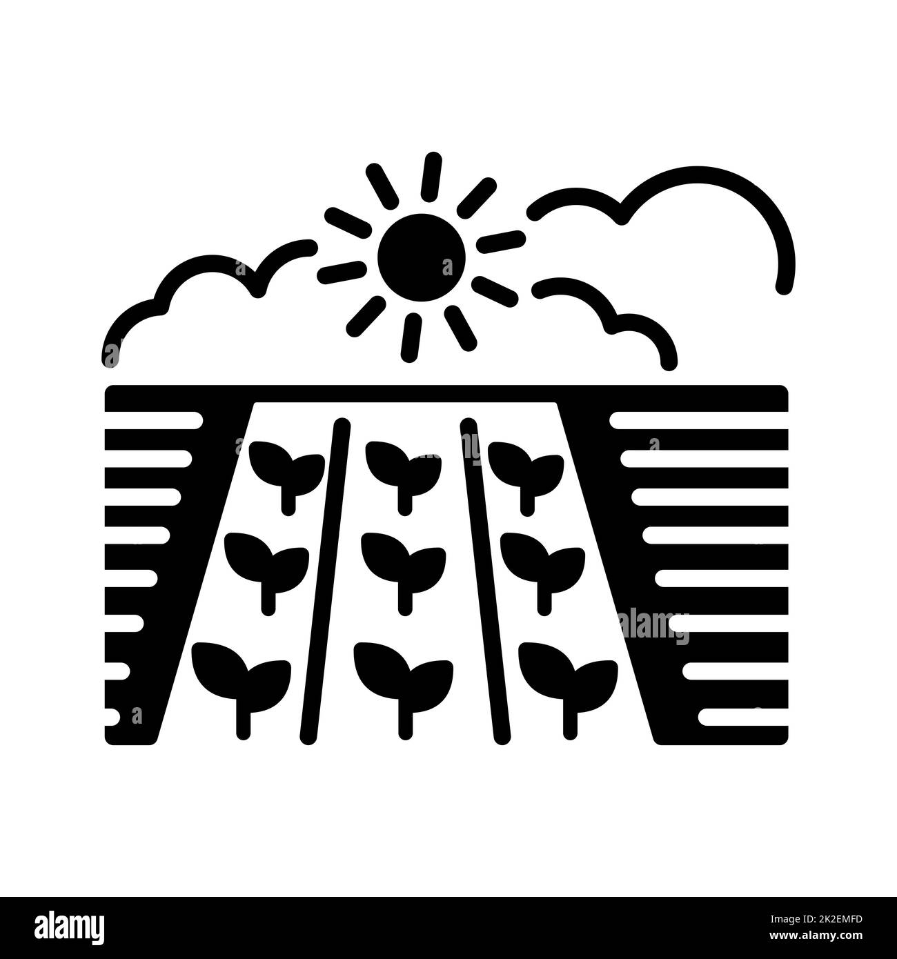 Agricultural field growing plants Cut Out Stock Images & Pictures - Alamy