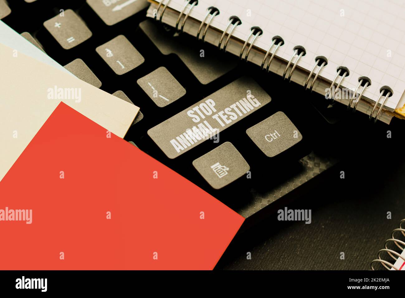 Text sign showing Stop Animal Testing. Business showcase scientific ...