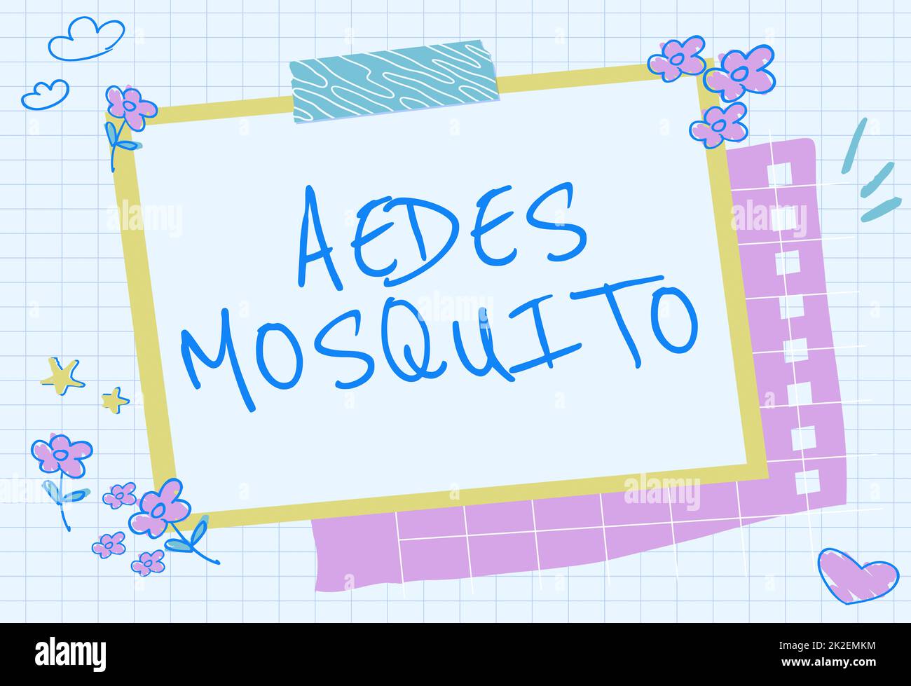 Text sign showing Aedes Mosquito. Concept meaning the yellow fever ...