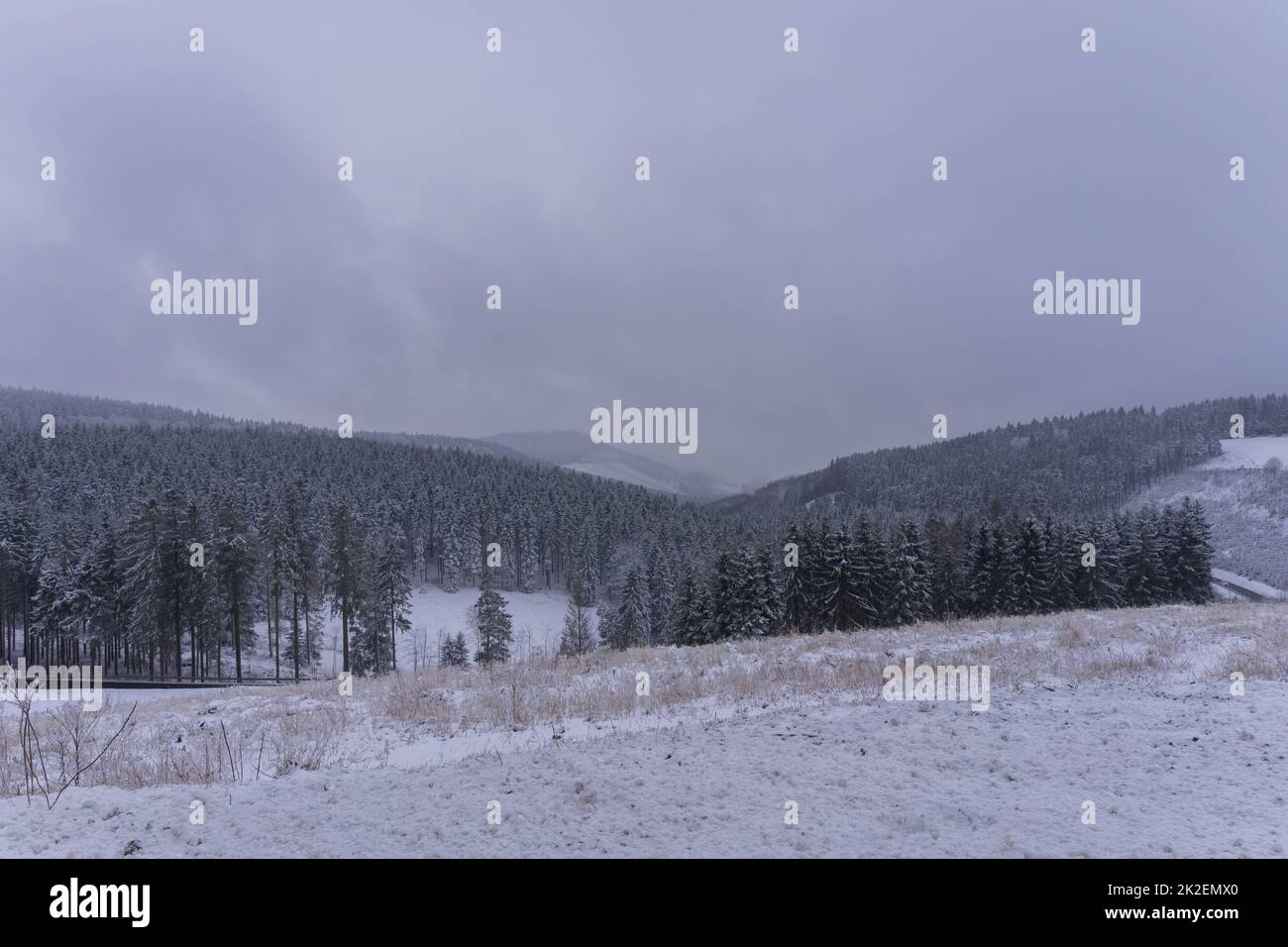 German winter park hi-res stock photography and images - Alamy