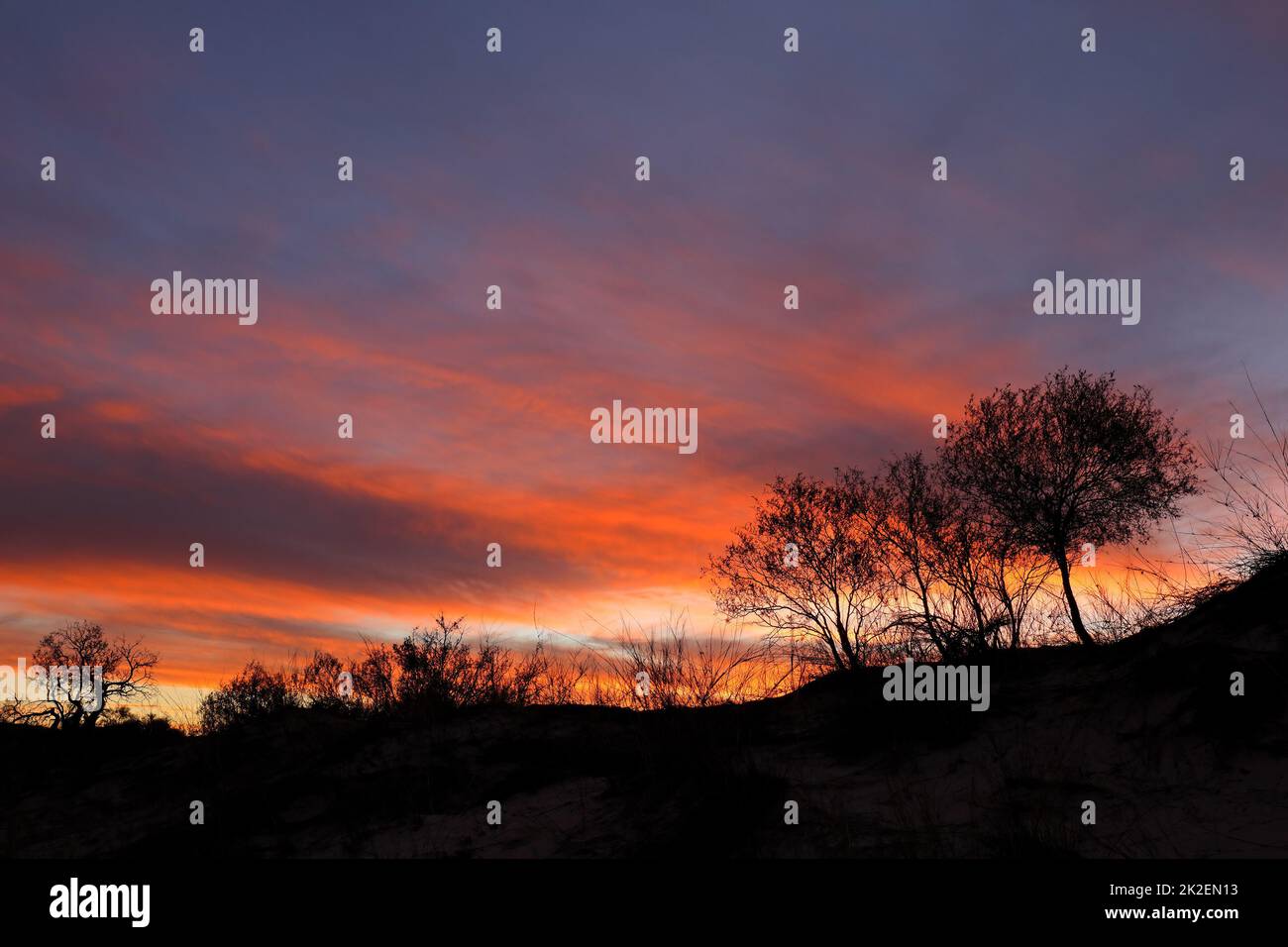 African sunset with silhouetted trees Stock Photo - Alamy