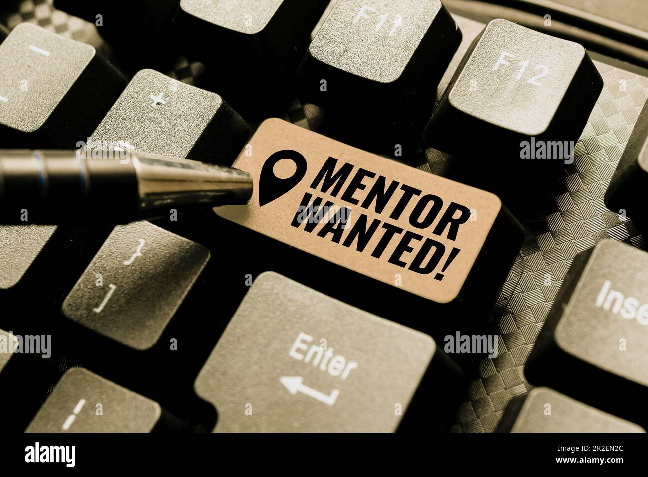 Text showing inspiration Mentor Wanted. Business overview finding ...