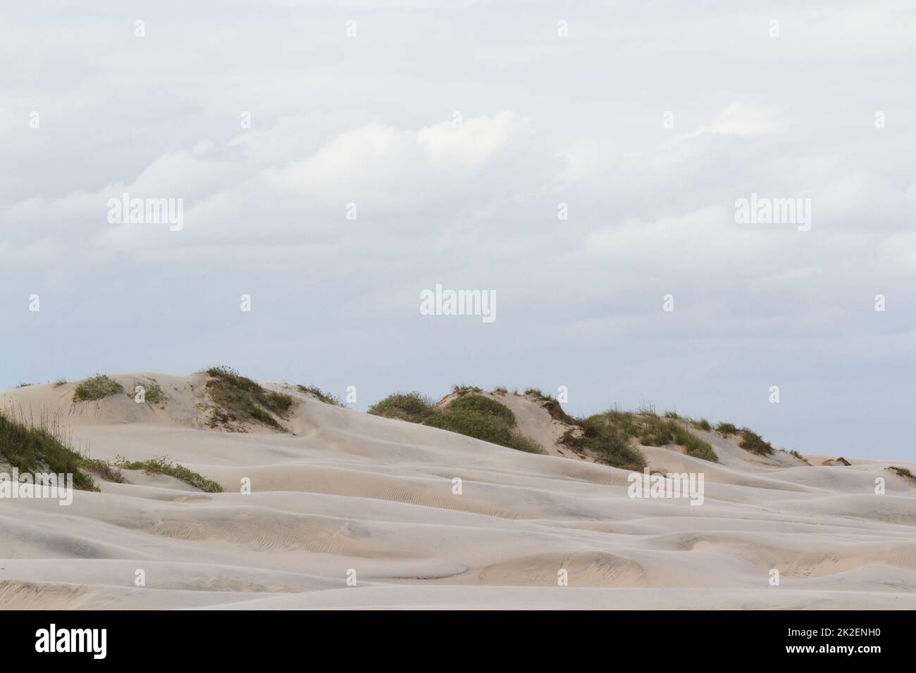 Coastal sand dunes texas hi-res stock photography and images - Alamy