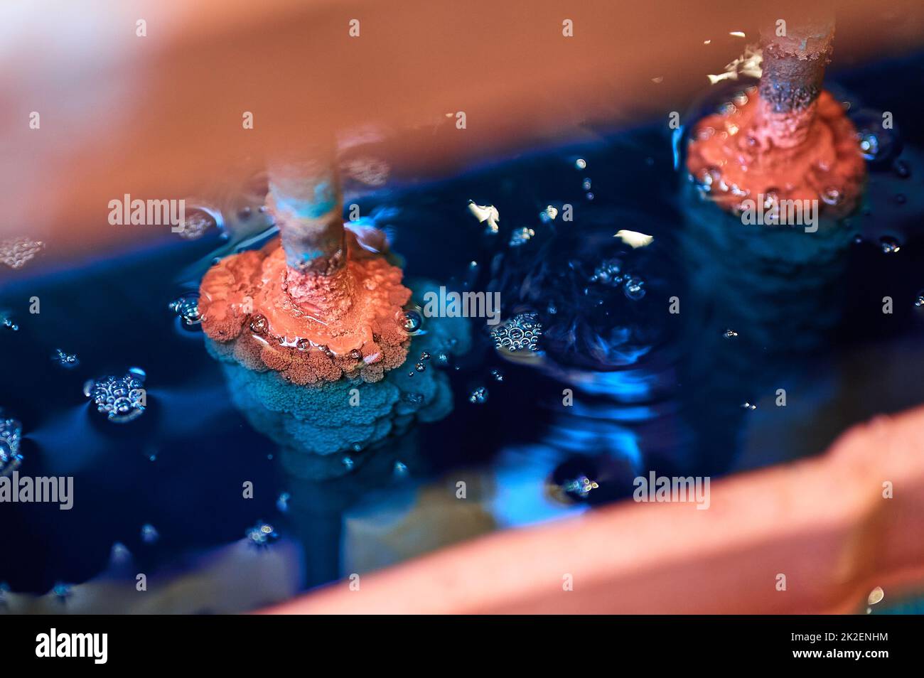 Metal cathodes covered with overgrowth copper powder Stock Photo - Alamy