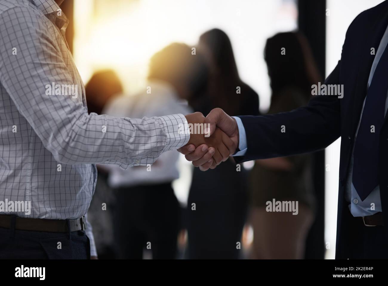 Welcome to our team. Shot of two silhouetted businesspeople shaking ...