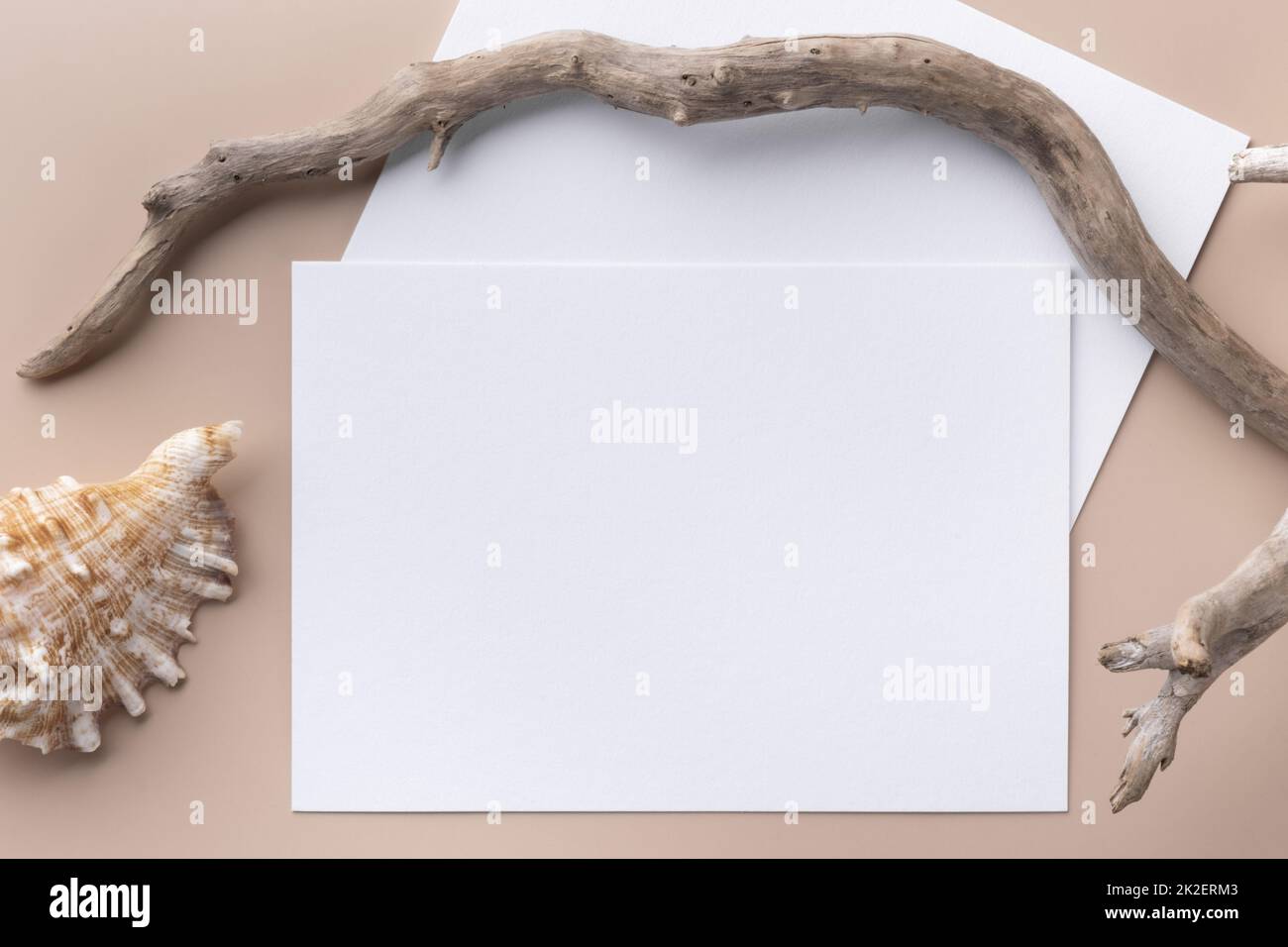 Minimal paper card mockup on beige background with branches and ...
