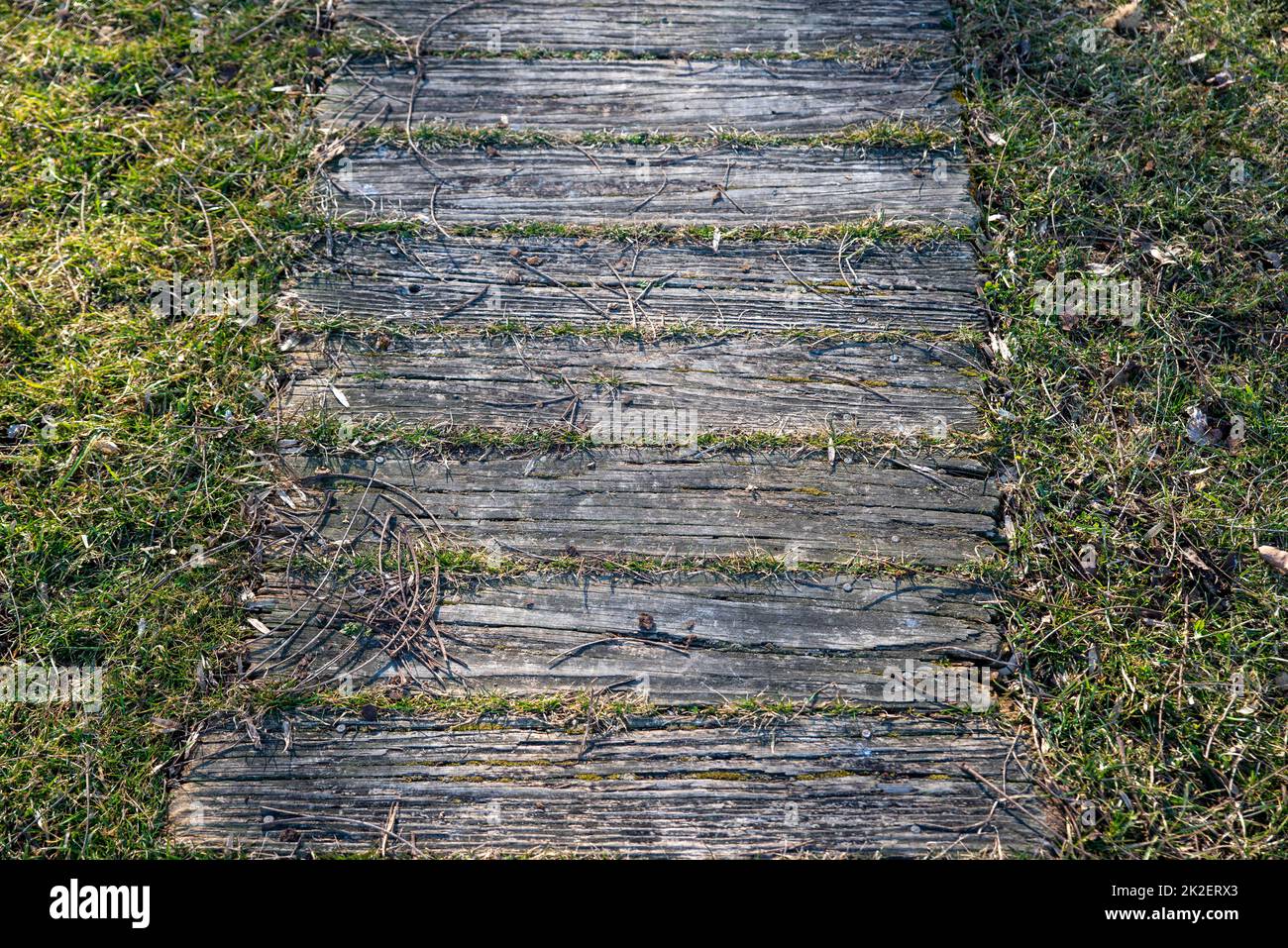 Charming worn old wooden foot path through green grass Stock Photo - Alamy