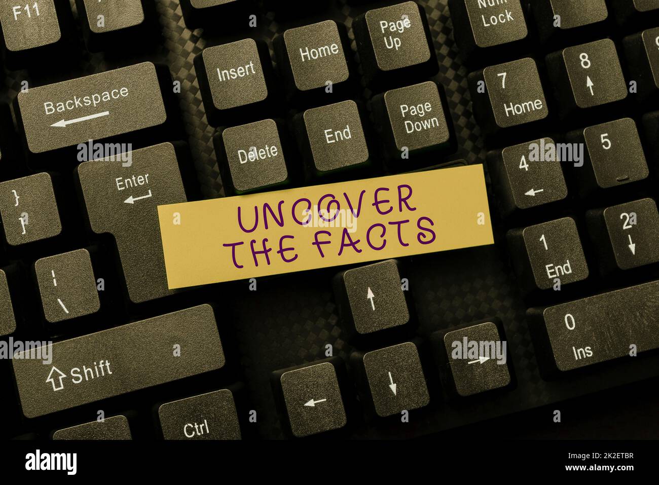 Text caption presenting Uncover The Facts. Business showcase disclose ...