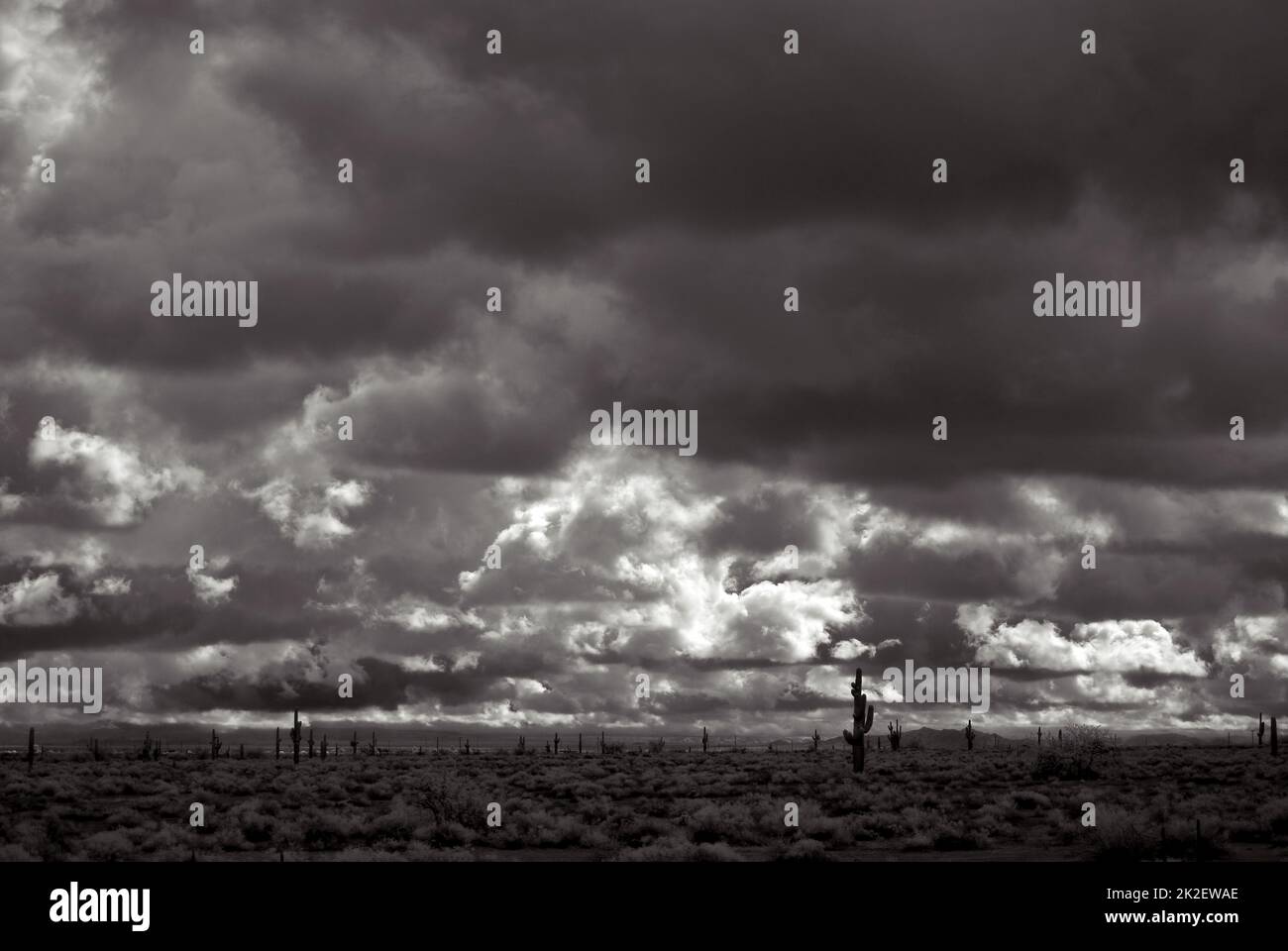 Storm in the Desert Stock Photo - Alamy
